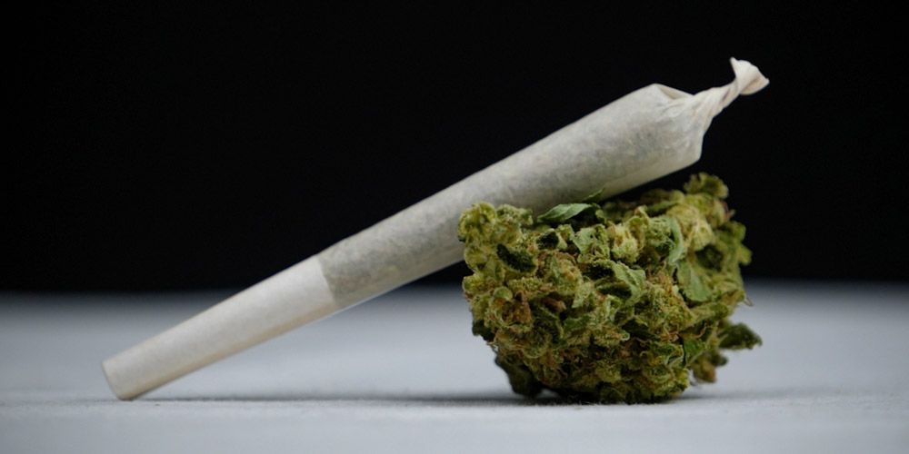 What’s the Difference Between a Joint and a Blunt? | Natural Mystic Pre Rolled Hemp Cones